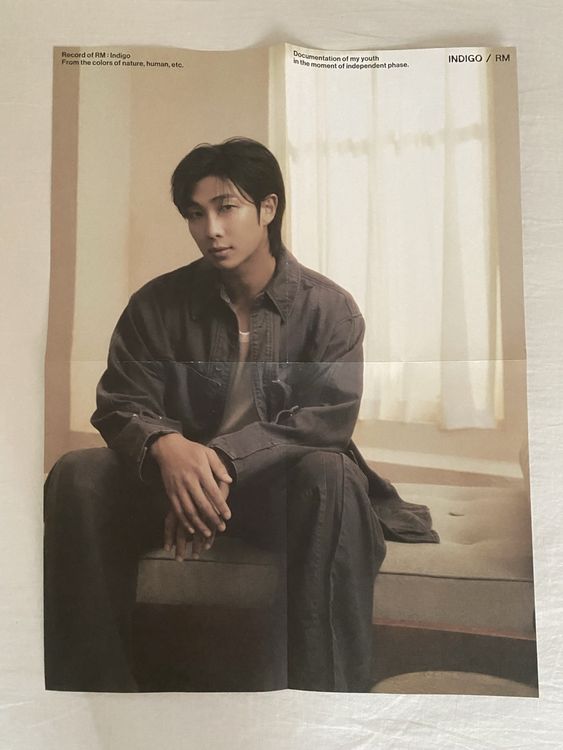 RM poster from Indigo album (Neu (gemäss Beschreibung)) in Carouge GE ...