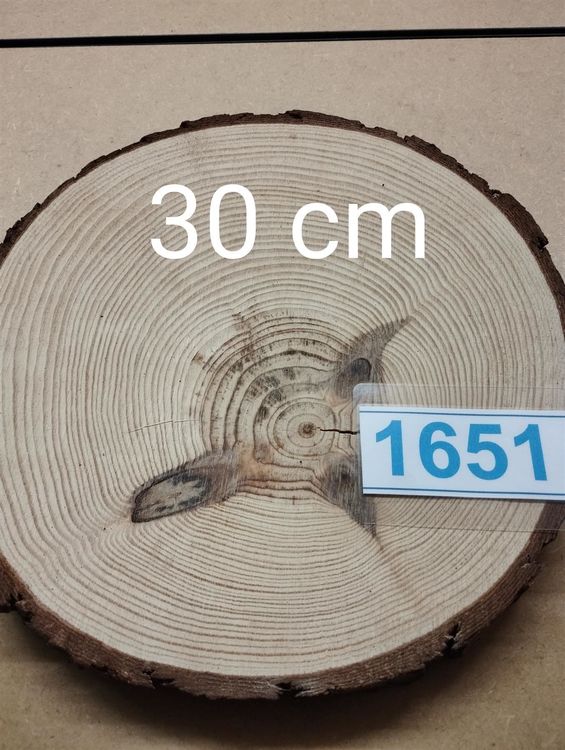 Erstaunlich Baumscheibe 30 Cm Durchmesser Ebenbild