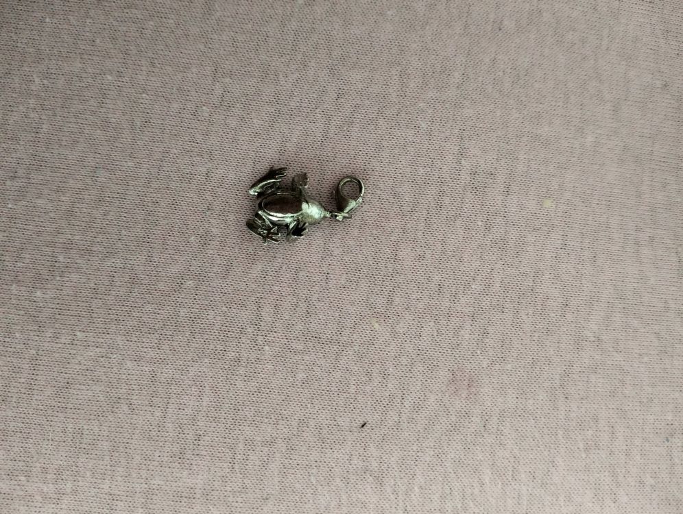 Original Swarovski Froschanhänger aus Metall (Gebraucht) in Rickenbach ...