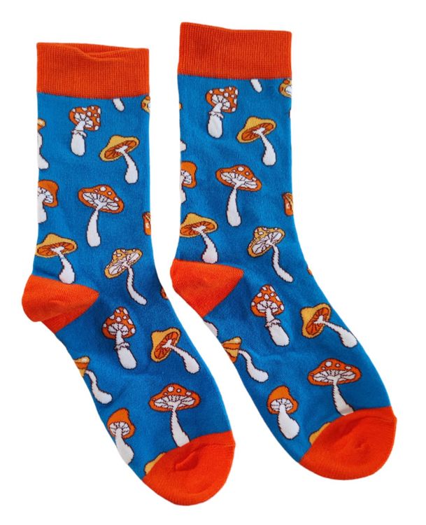 Socken Pilze / Mushrooms / Fliegenpilze (Neu und originalverpackt) in Zürich für CHF 4.9 – mit ...