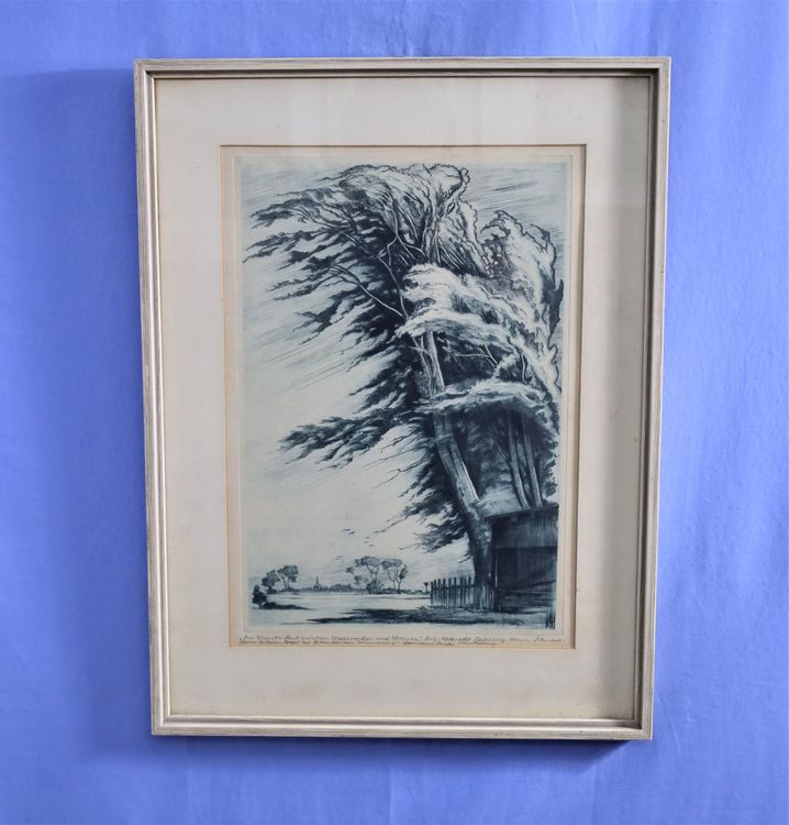 Hermann Schiebel 1896-1973, Radierung, Baum im Sturm, sign. (Gebraucht ...