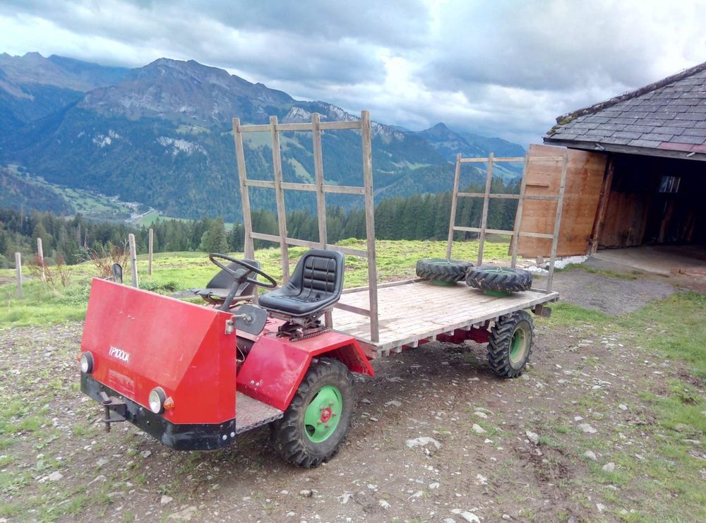 Aebi Transporter Tp1000A | Kaufen auf Ricardo