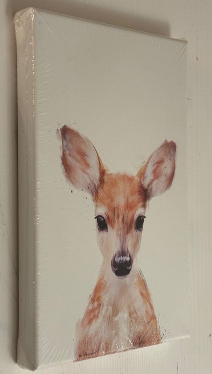 Bild auf Leinwand gezogen Little Deer Reh von Amy Hamilton (Neu und ...