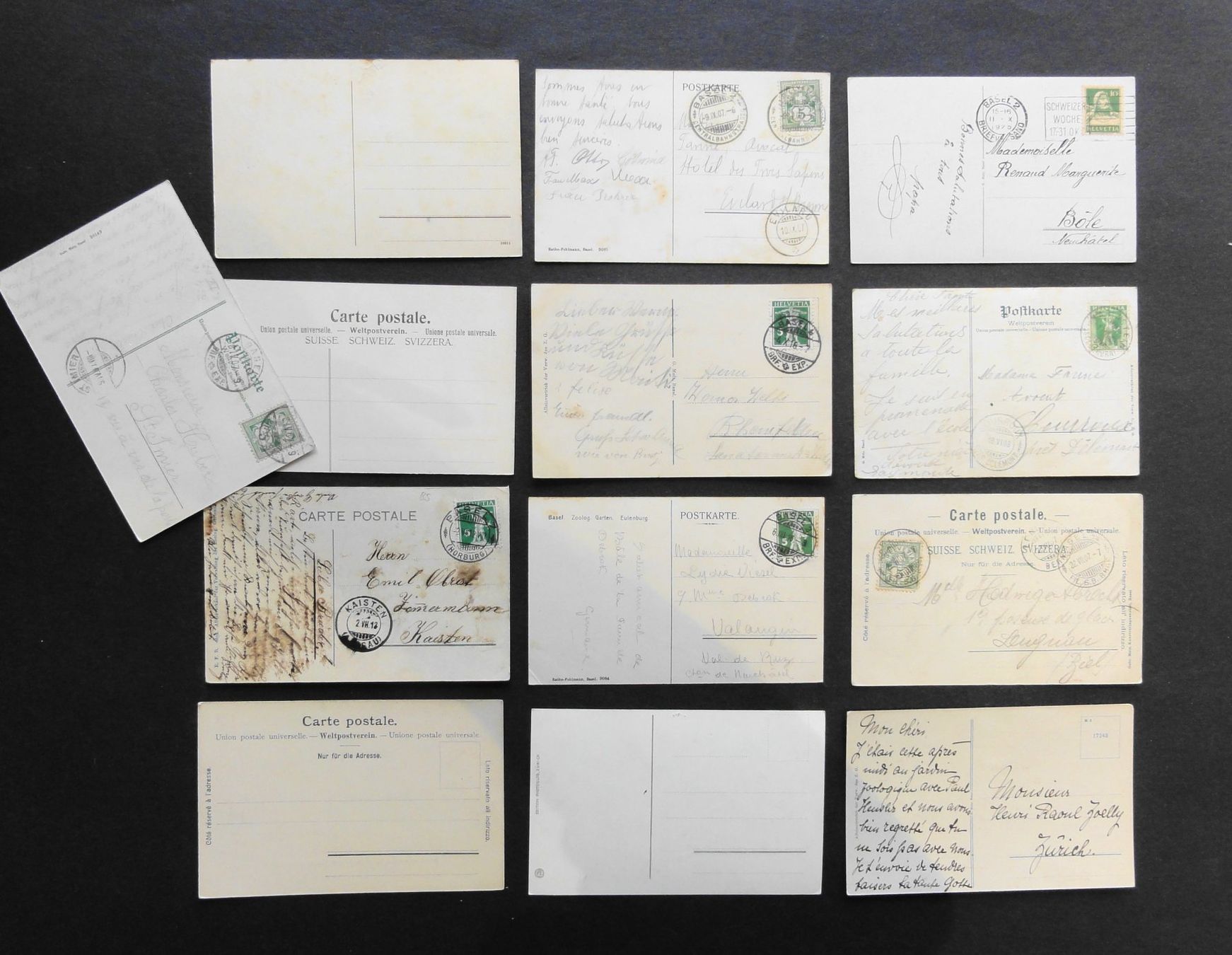 schönes Lot BASEL Zoologischer Garten, Zolli, um 1910/20 (Gebraucht) in ...