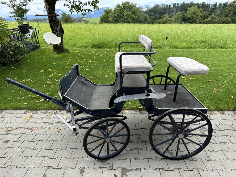 Pferdekutsche Wagonette mit Scheibenbremse (Gebraucht) in Bubikon für ...