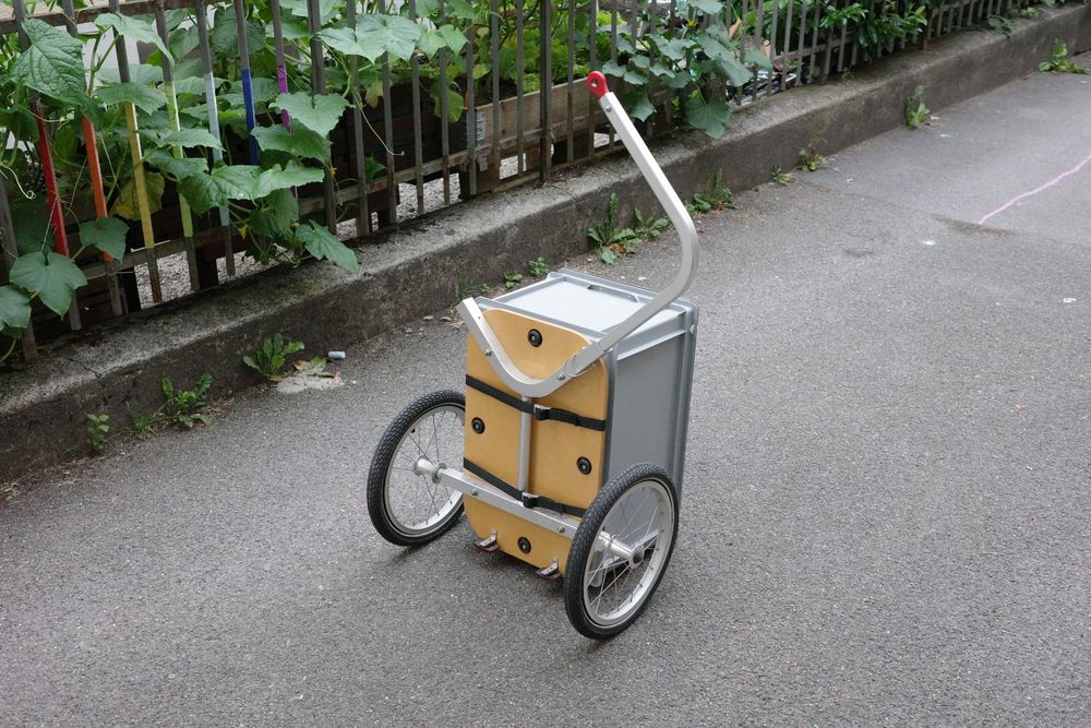 Veloanhänger Carry Freedom Y-Frame Transportanhänger (Gebraucht) in ...