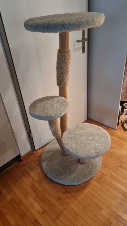 Natur Katzenbaum X'otick massivholz made in Swiss (Gebraucht) in ...