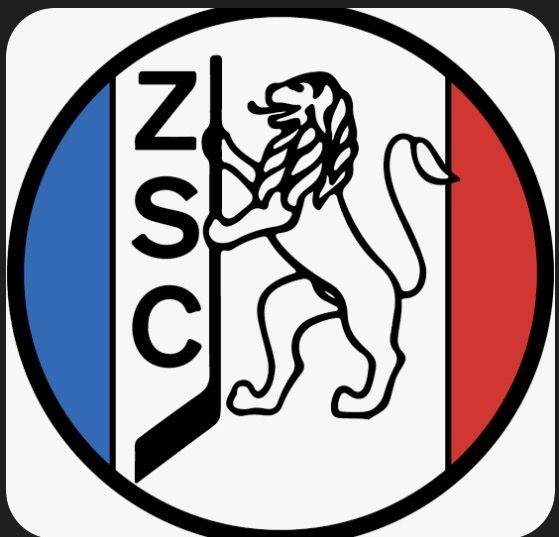 Stehplatz Ticket Heim 17.01.26 - ZSC - SCB (Neu und originalverpackt ...