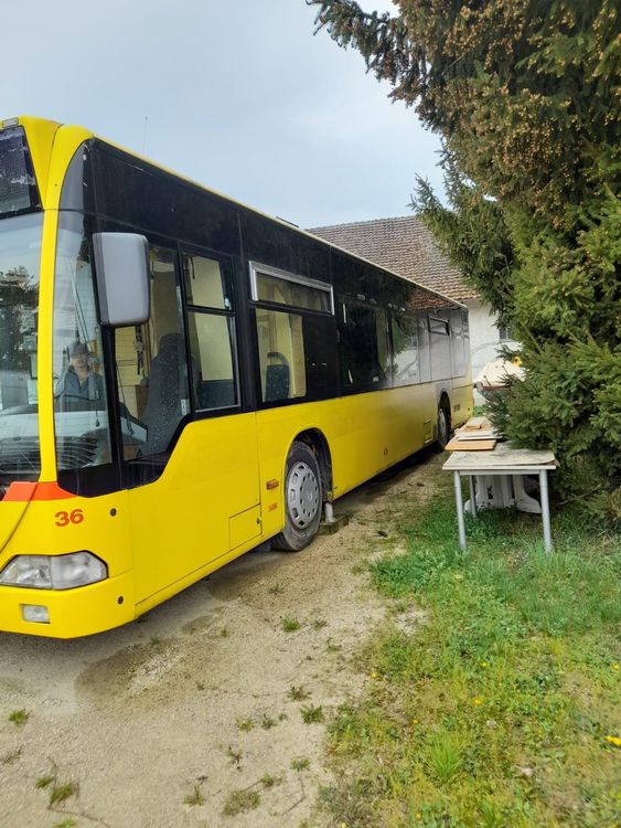 Ex-Linienbus als Ferienwohnung oder Tiny-House (Gebraucht) in Bern für CHF 8100 – nur Abholung ...