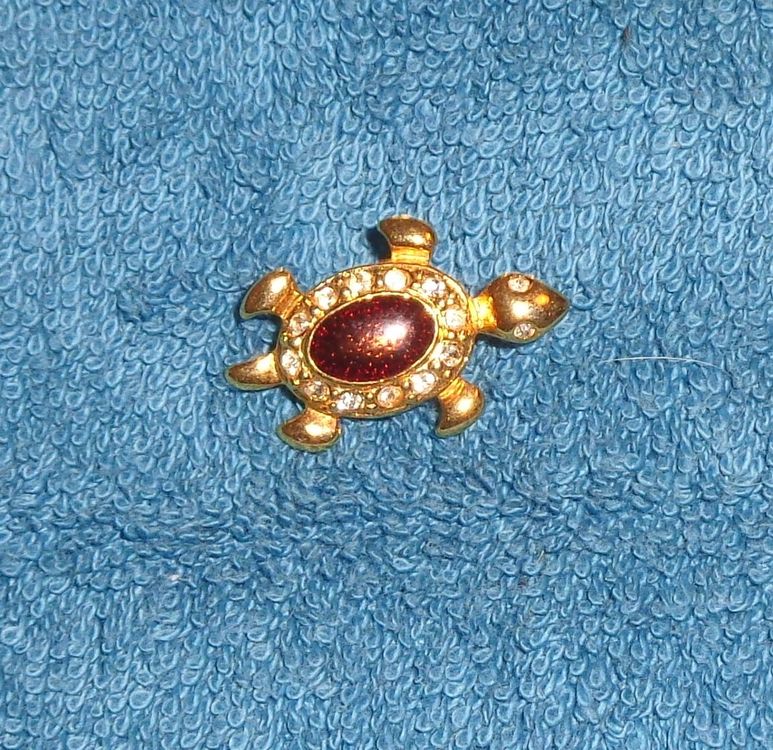 1 Ansteck Pin Schildkröte | Kaufen auf Ricardo