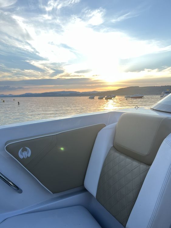 Scarab 255ID Platinum, 400PS, Jet-Antrieb, mit CH-Zulassung (Gebraucht ...