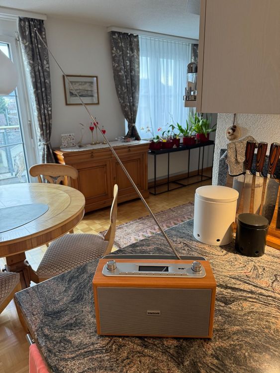 Intertronic Retro-Radio, DAB+, UKW, Neuwertig! (Gebraucht) in Gais für ...