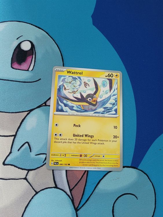 Wattrel 080 - Paldea Evolved Voltrel | Kaufen auf Ricardo
