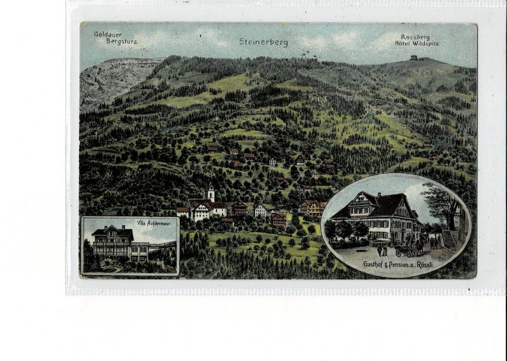 Steinerberg Mit Villa Aufdermauer Und Gasthof Rössli Sz 1912 Kaufen