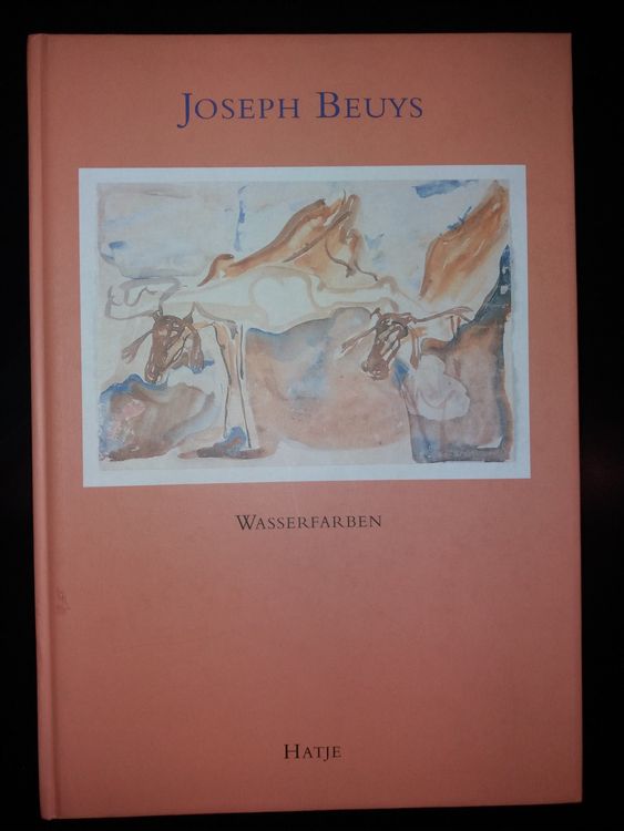 KUNSTKLASSIKER Joseph Beuys interessant (Gebraucht) in Welschenrohr für CHF 26 – mit Lieferung ...