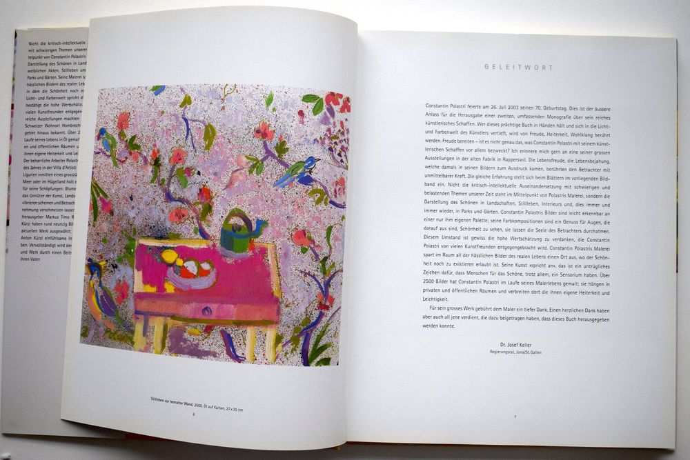 Constantin Polastri CH Rare Monografiie Markus Timo Rüegg (Gebraucht ...