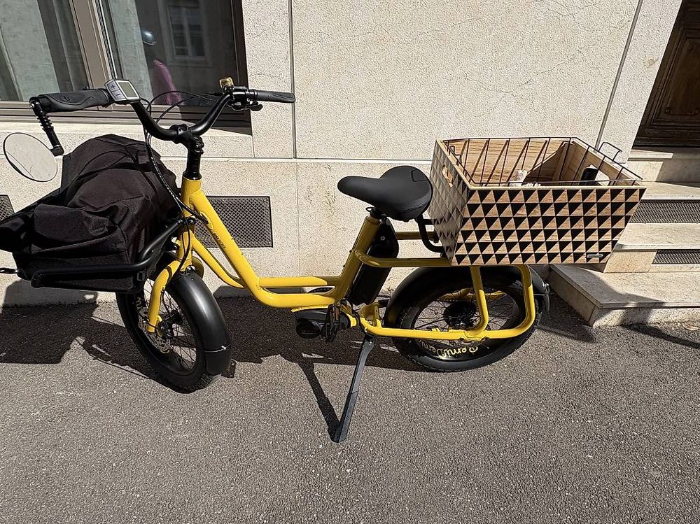 Benno bike Remi Demi (Neu (gemäss Beschreibung)) in Basel für CHF 4600 – nur Abholung auf ...