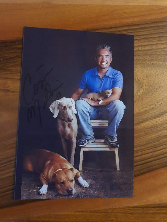 Cesar Millan, Hundetrainer, handsigniert (Gebraucht) in Buchs ZH für ...