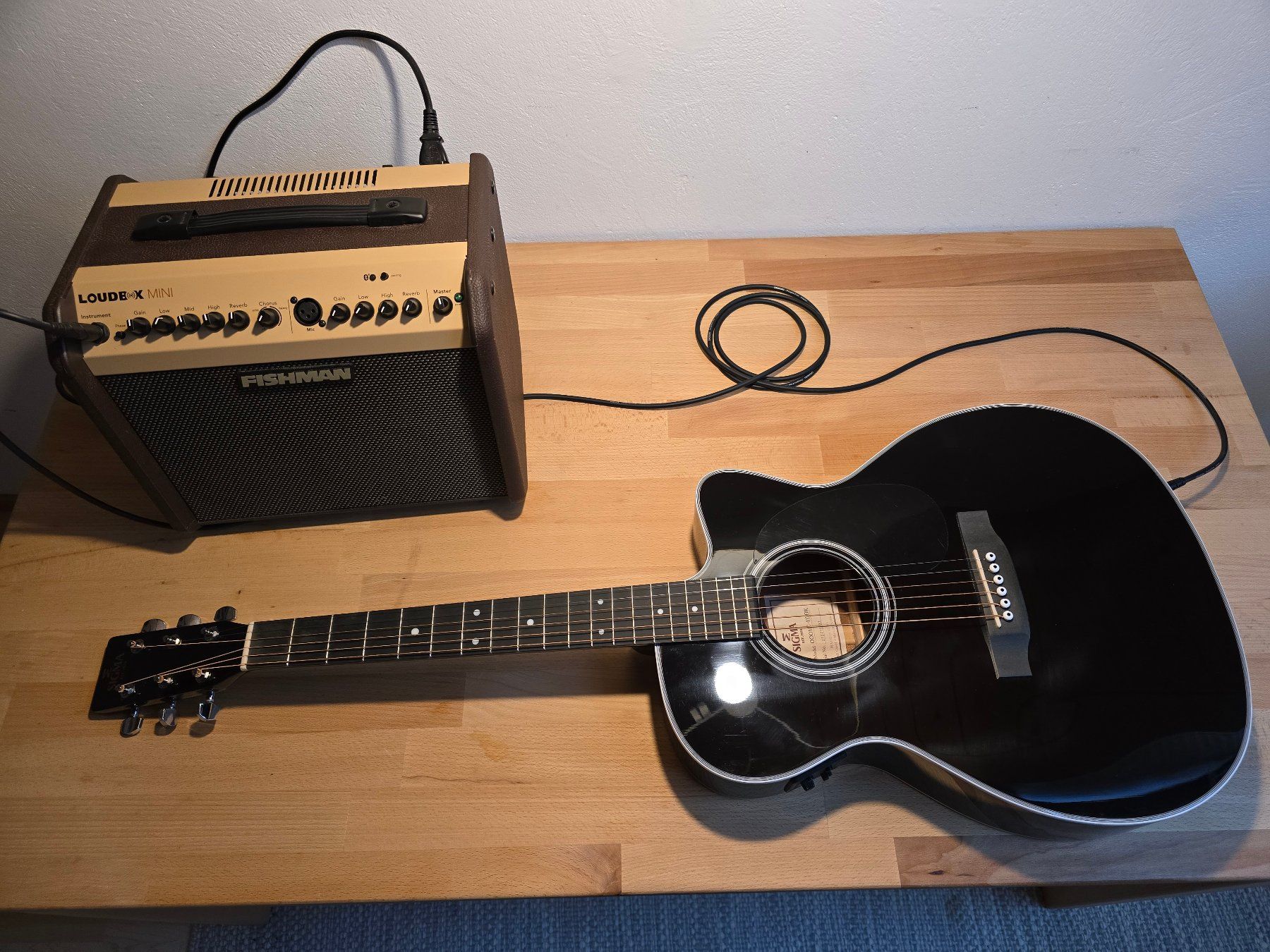 Akustik-Gitarre + Fishman Verstärker (Neu (gemäss Beschreibung)) in ...