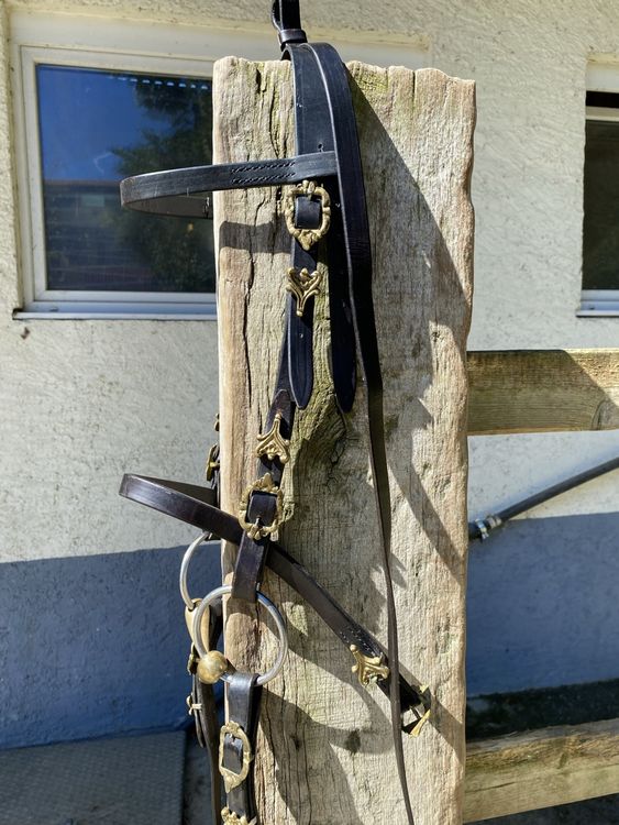 Barock Zaum, Leder mit Messing Beschlägen (Gebraucht) in Birsfelden für ...