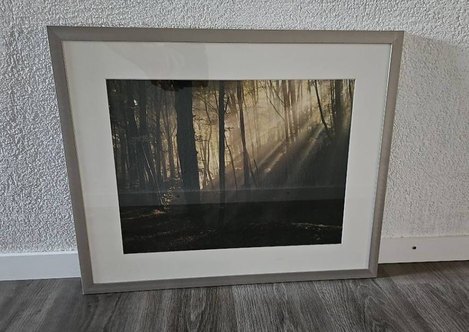 Schönes Waldbild (Neu (gemäss Beschreibung)) in Anwil für CHF 5 – mit ...