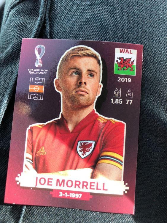 WM 2022 Joe Morrell, WAL 13 | Kaufen auf Ricardo