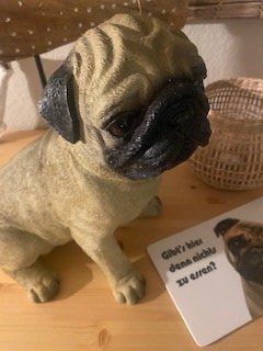 MOPS!!! MEGA!!! GROSS!!! | Kaufen auf Ricardo