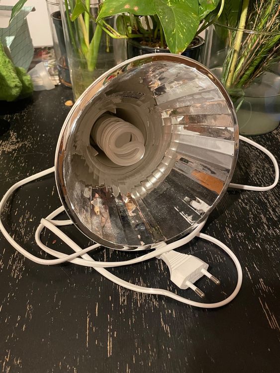 Pflanzenlicht Megaman Lamp Pendel-Set inkl. E27 ESL 14W (Gebraucht) in ...