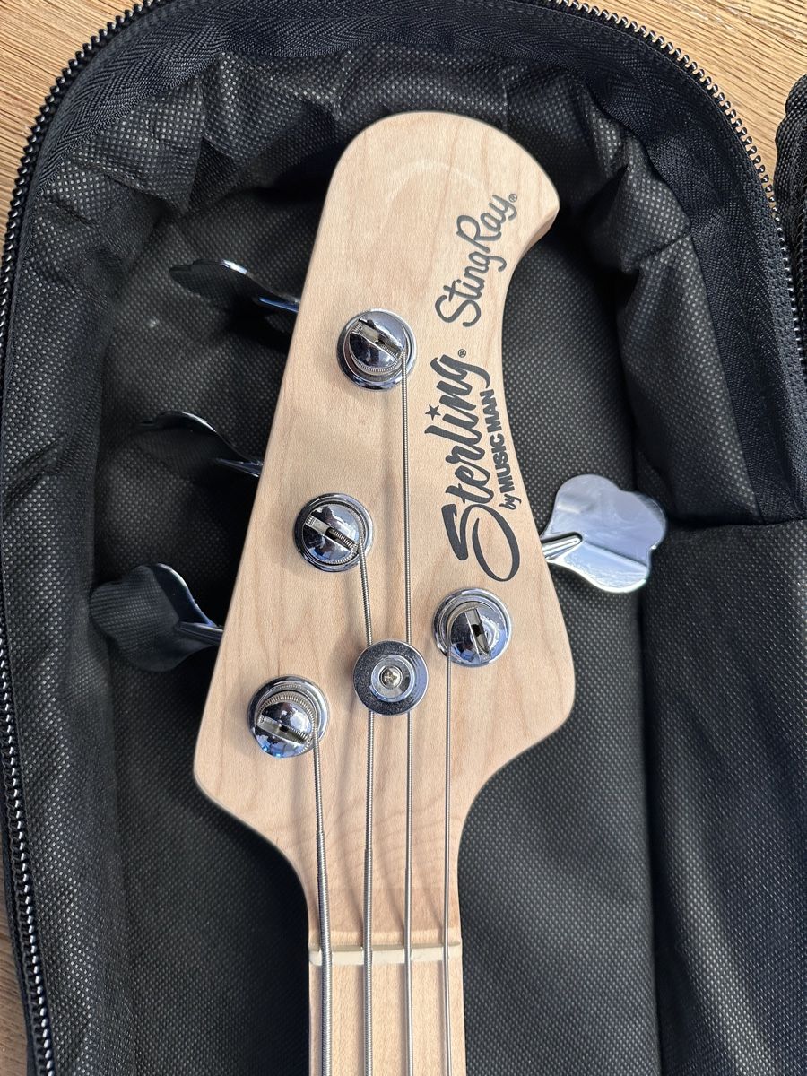 Sterling by Music Man StingRay Short Scale Bass wie neu! (Neu (gemäss ...