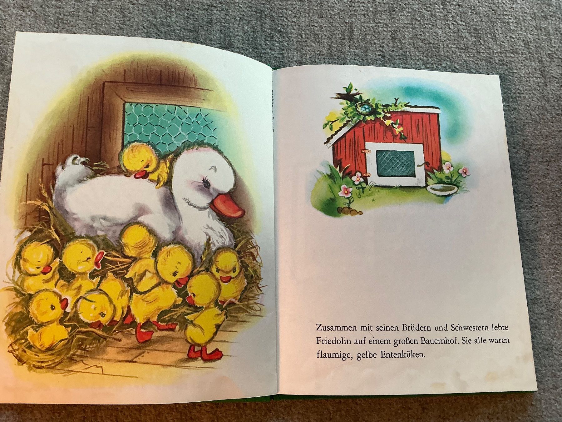 Friedolin - Ein Daki Buch von Carlsen Verlag, Vintage! 1966 (Gebraucht ...