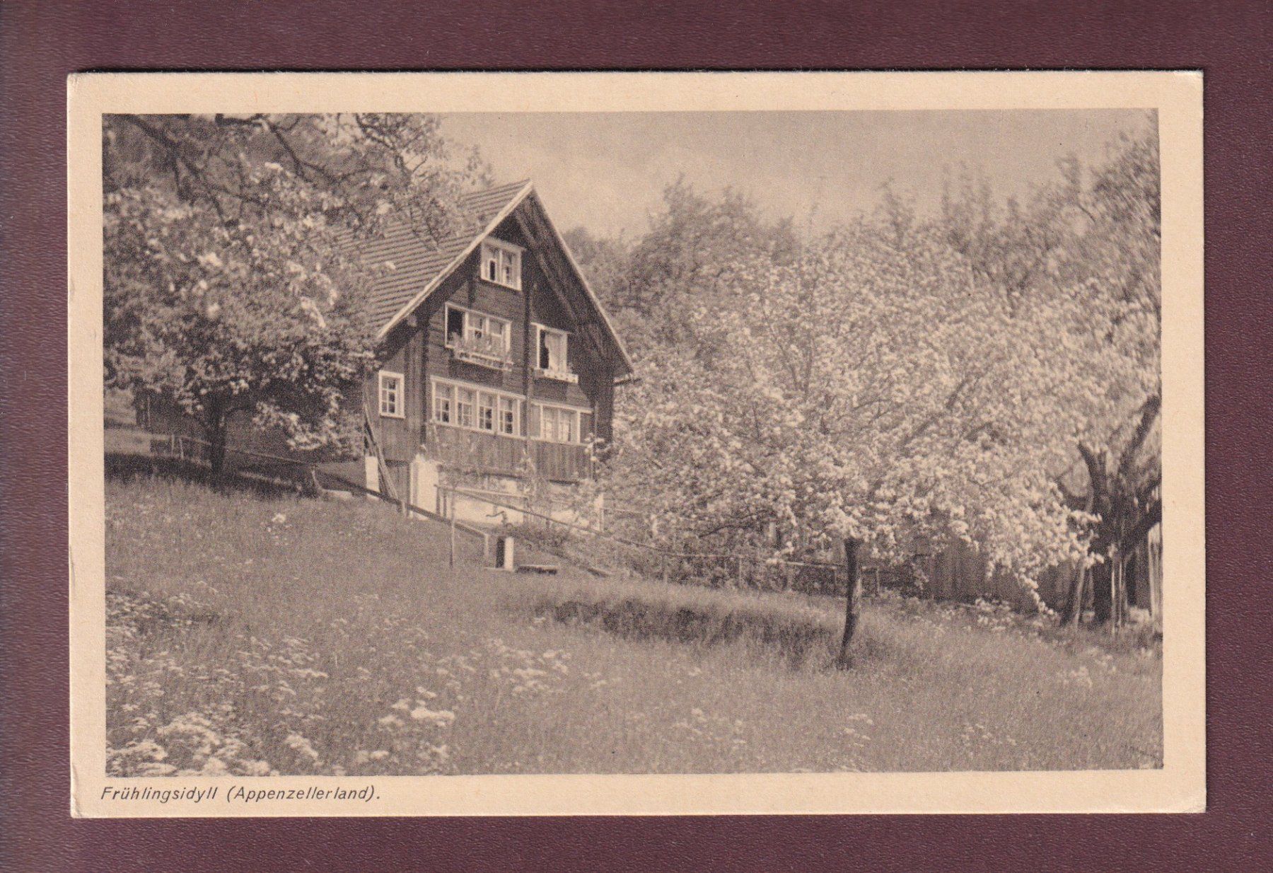 APPENZELLERLAND - Frühlingsidyll (D'occasion) à Pully pour CHF 6 – avec ...