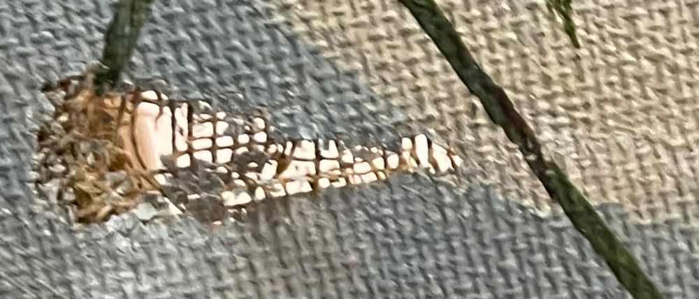 Walter FRÜH (1855-1944) Gemälde | Kaufen auf Ricardo