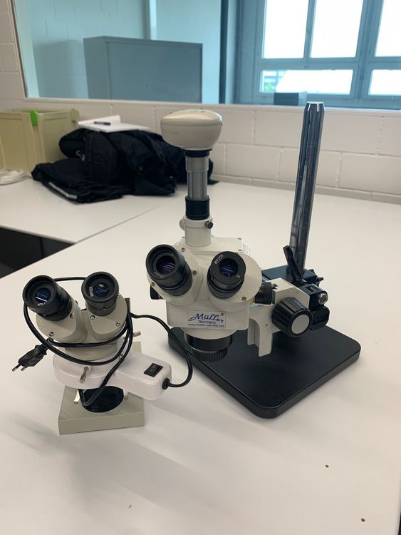 Mikroskop Müller | Kaufen auf Ricardo