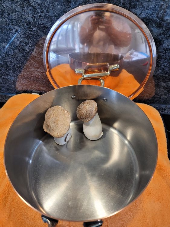 EINE MASSIVER FRANZ.TOURNUS/EVTL.FÜR POT-AU-FEU/ 60-ER🎄🎄 (Gebraucht) in ...