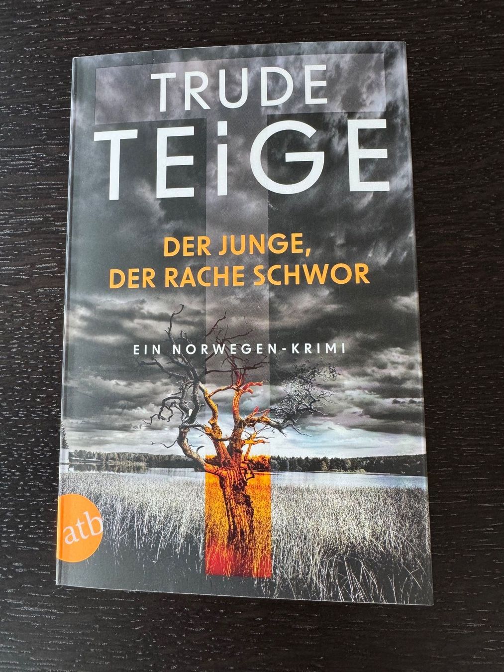Trude Teige 1: Der Junge, der Rache schwor (Gebraucht) in Wallisellen ...