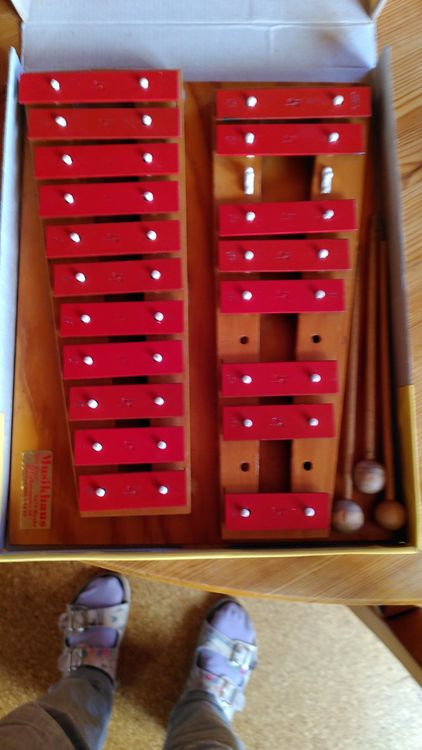 Xilophon un Liederbuch (Gebraucht) in Werdenberg für CHF 5 – mit ...