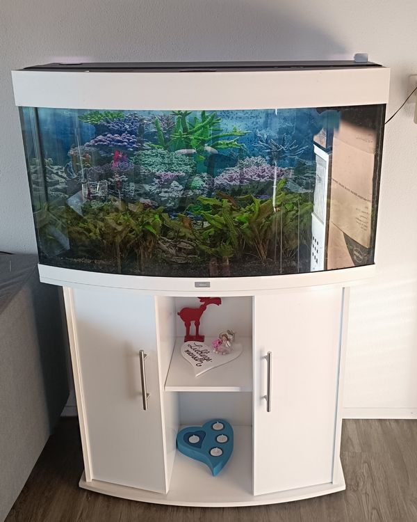 Aquarium Juwel Vision 180 (Gebraucht) in Schüpfen für CHF 141 – nur ...