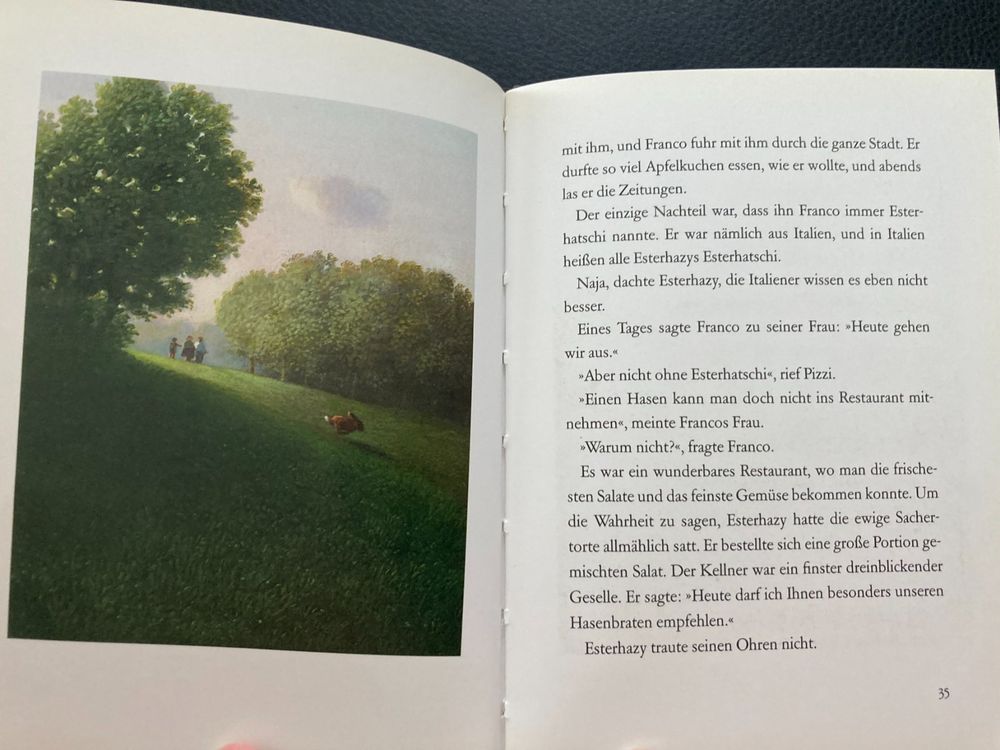 ESTERHAZY Eine Hasengeschichte von Dische Enzensberger Sowa (Gebraucht ...
