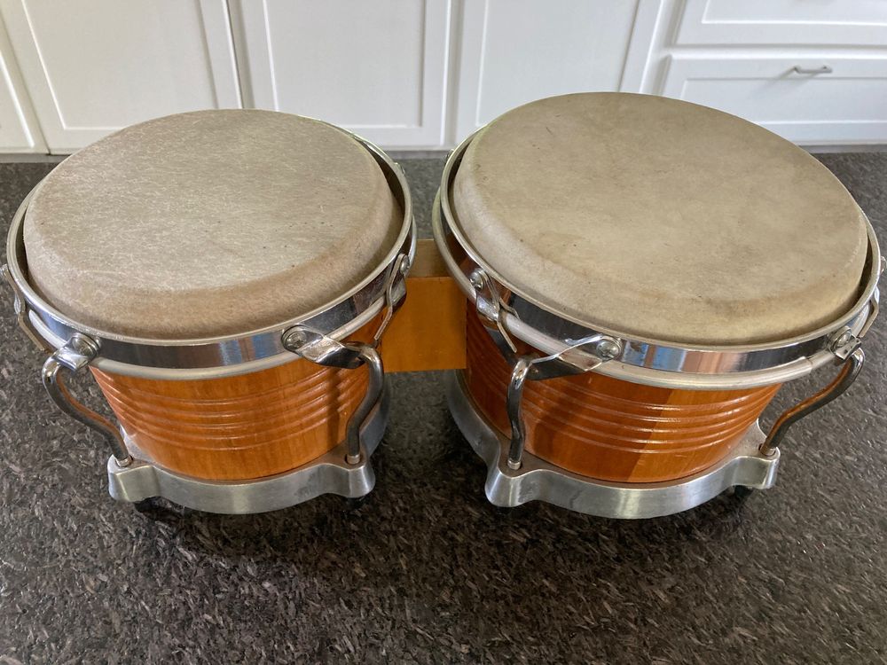 Bongos (Gebraucht) in Troistorrents für CHF 25 – mit Lieferung auf ...
