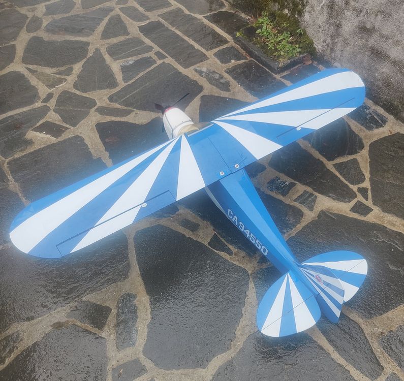Clipped wing cub | Kaufen auf Ricardo