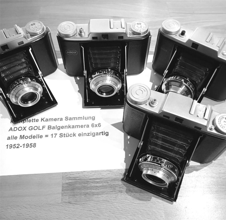 ADOX Golf 6x6 Sammlung, 17 Kameras inkl. 1x Messgolf | Kaufen auf Ricardo