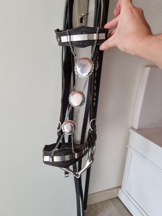 Zaum (Gebraucht) in Beinwil am See für CHF 50 – mit Lieferung auf ...