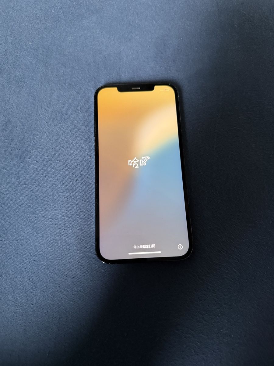 iPhone 12 Pro Max, 256 GB, Pazifikblau, Top Zustand! (Gebraucht) in Ins ...