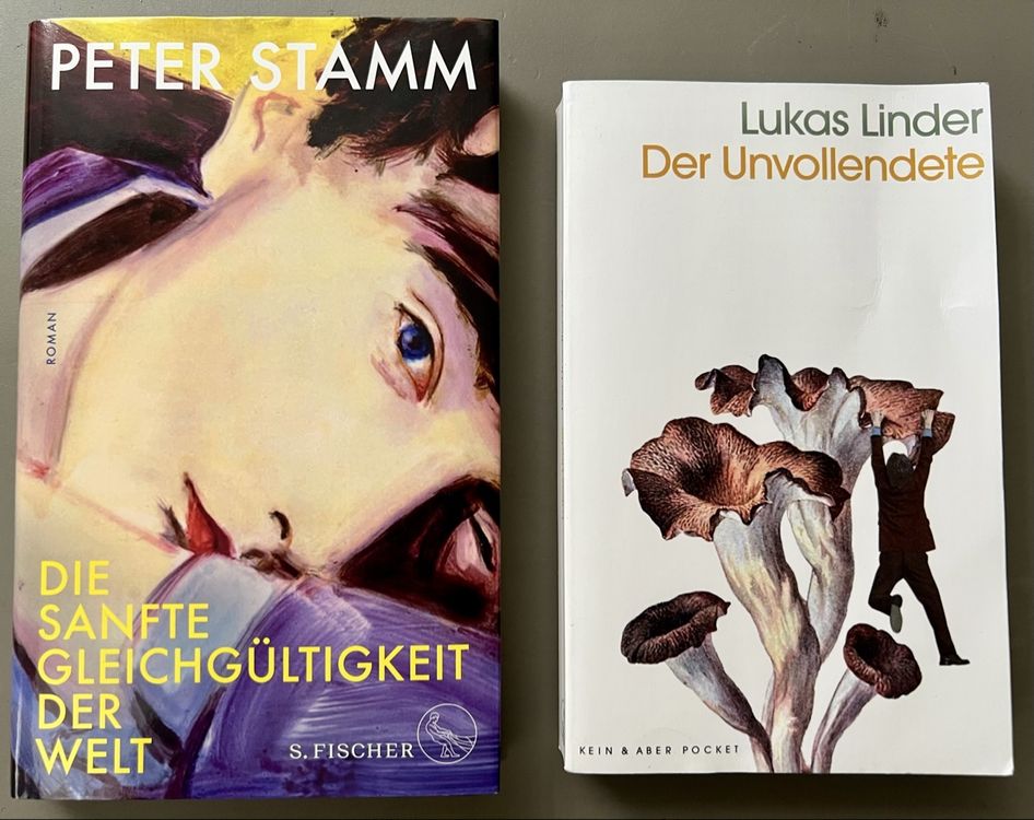 Romane der Schweizer Autoren Lukas Linder & Peter Stamm (Gebraucht) in ...