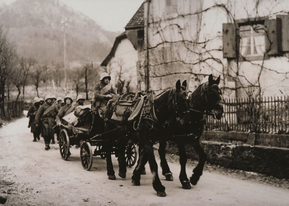 Militär, 2.Armeekorps,R Br 22,Buch,Pferdefuhrwerk (Gebraucht) in Frauenfeld für CHF 5.8 – mit ...