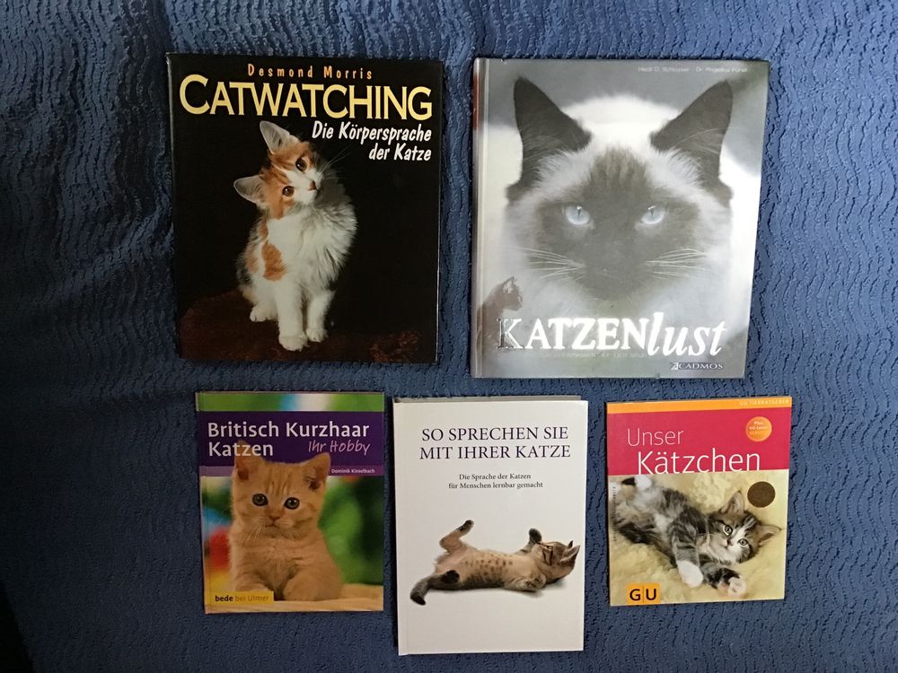 Katzenbücher, zum Teil neu | Kaufen auf Ricardo