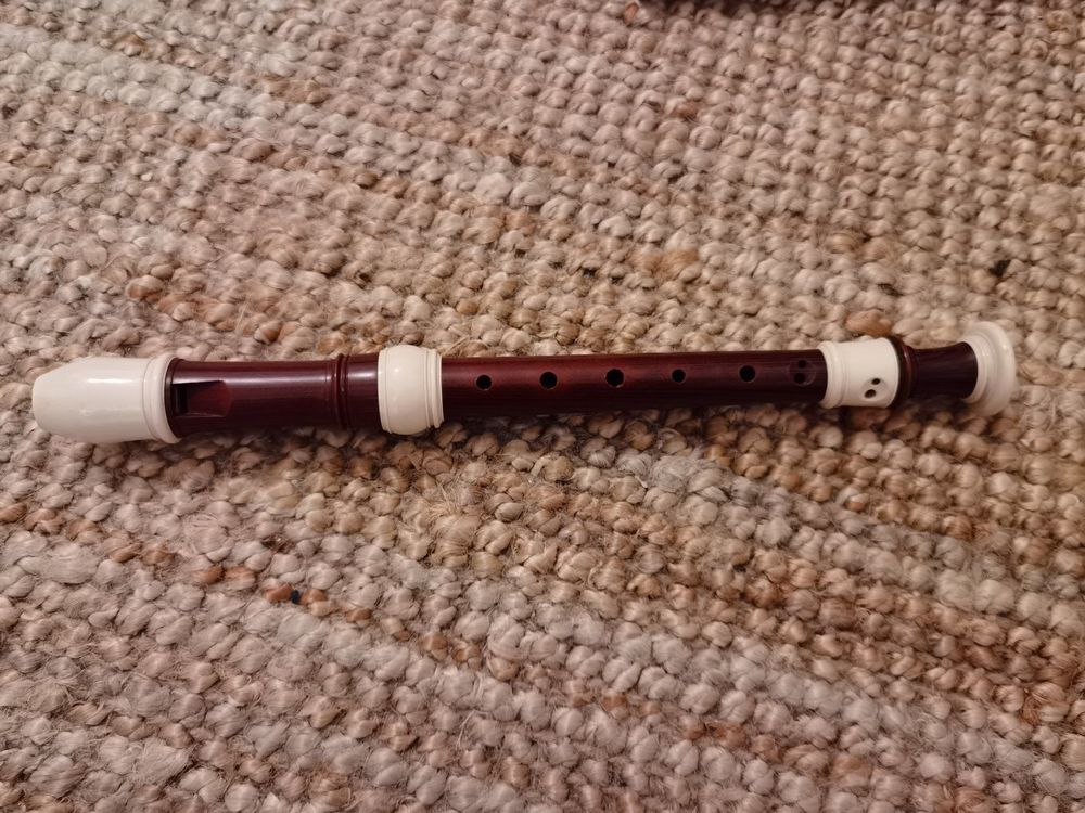Yamaha Soprano Blockflöte | Kaufen auf Ricardo
