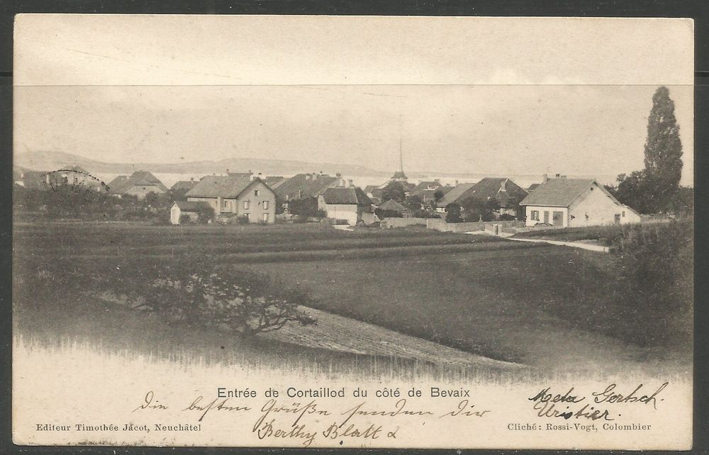 Carte P de 1903 ( Entrée de Cortaillod du Côté de Bevaix ) | Kaufen auf ...
