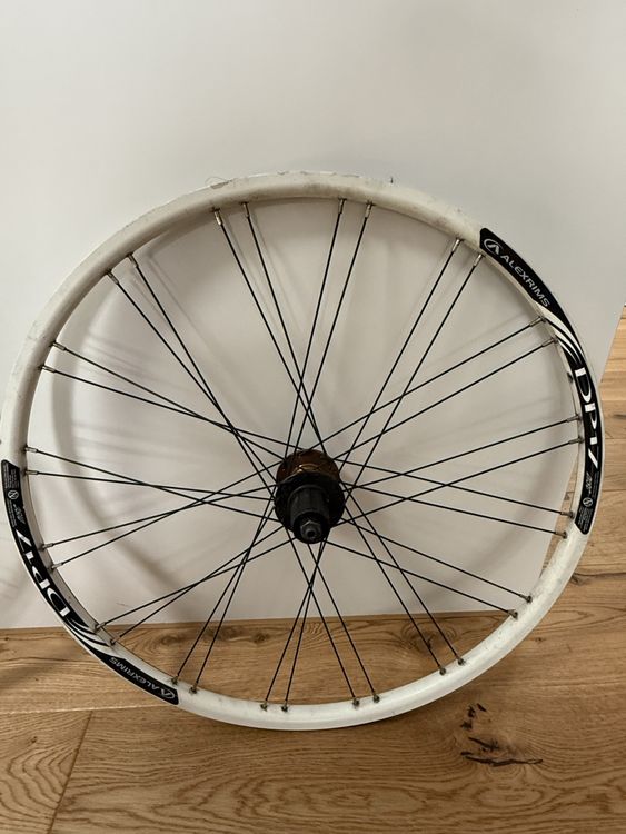 26 Zoll Hinterrad,Vorderrad– Alexrims DM24 – für MTB (Gebraucht) in ...