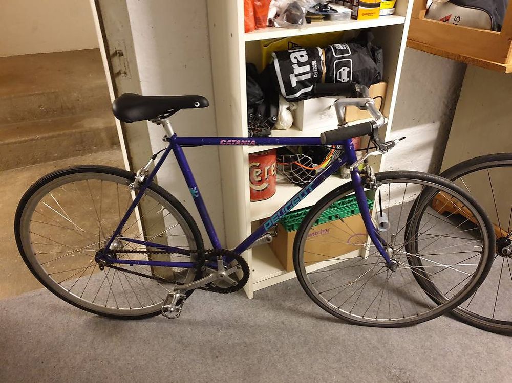 Fixie / Single Speed Rennvelo Peugeot Catania Race (Gebraucht) in Basel ...